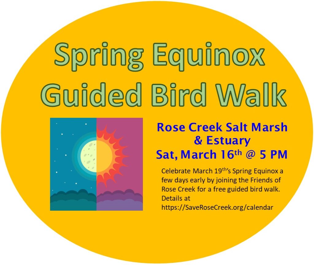 Spring Equinox Bird Walk along Rose Creek – Friends of Rose Creek